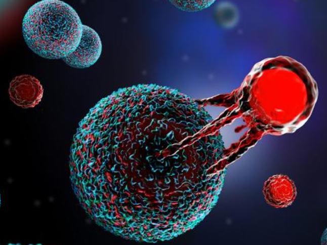 CAR T Cells: Engineering Immune Cells to Treat Cancer – Harmony Thrive